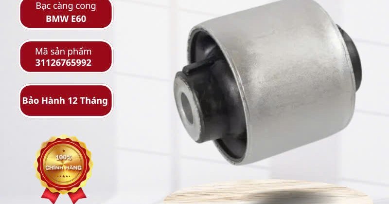 Bạc càng cong BMW E60, 31126765992 - Phụ tùng 3T