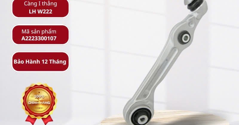 Càng I Thẳng LH W222 A2223300107 - Phụ tùng 3T